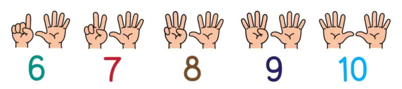 Compter avec ses doigts US vs FR - Les aventures de la famille Bourg