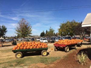 Bishop Pumpkin Farm - Les aventures de la famille Bourg