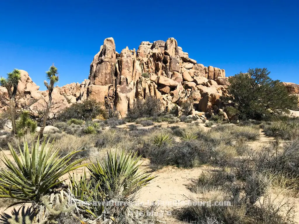{Joshua Tree} Hidden Valley Nature Trail - Les aventures de la famille ...