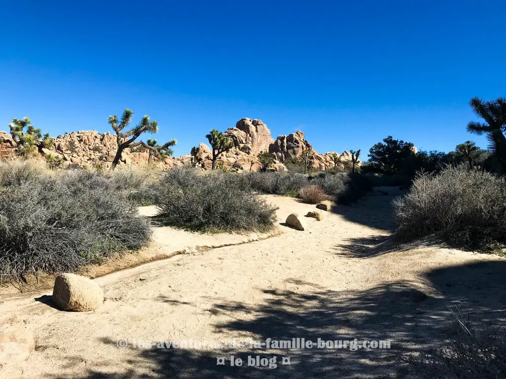 {Joshua Tree} Hidden Valley Nature Trail - Les aventures de la famille ...